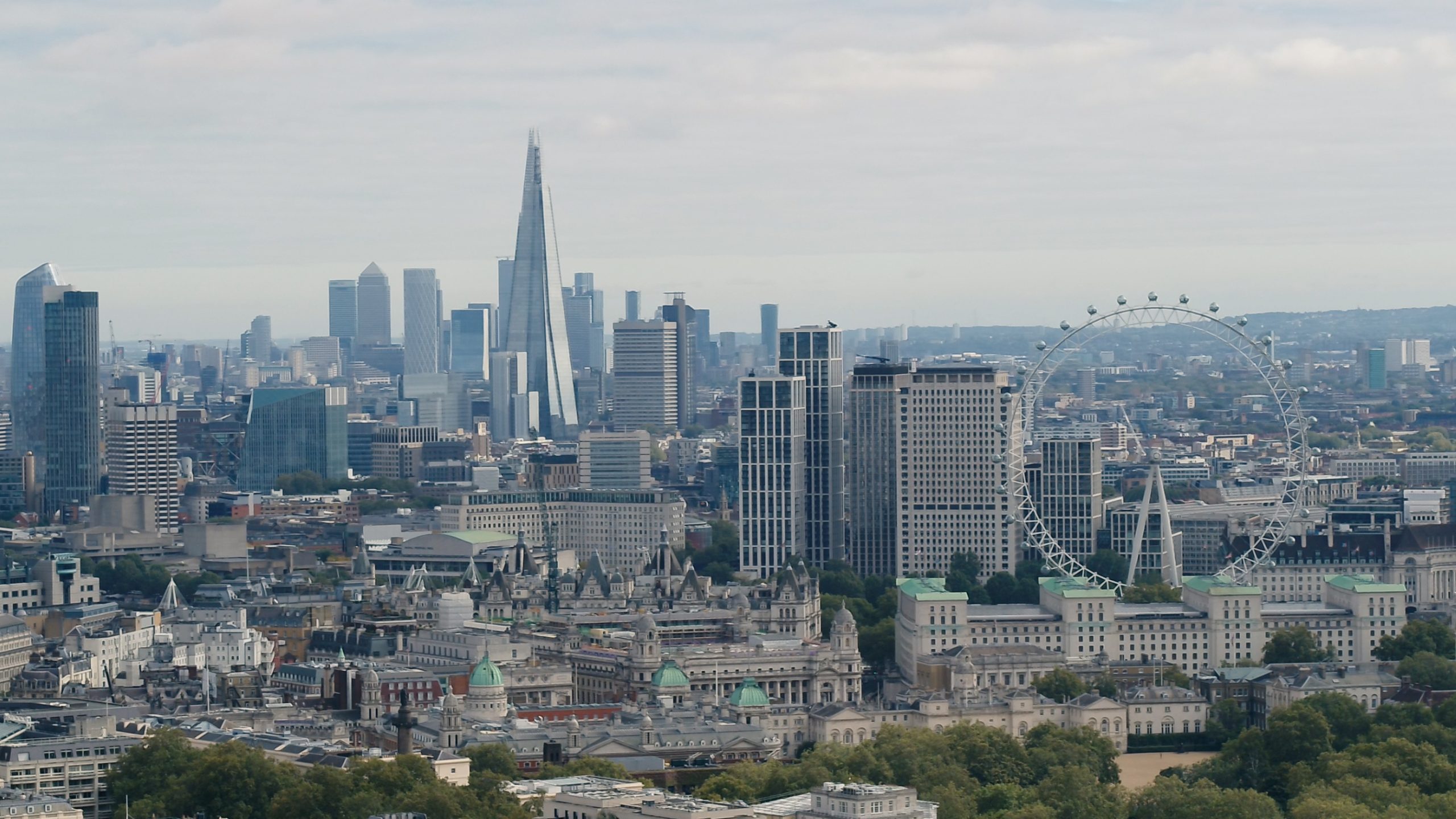 Our Leadership Team - McGee